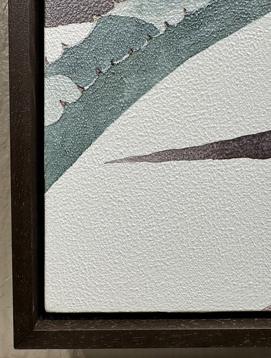 Transformation | Agave Watercolor | Watercolor Painting - Heidi Rosner ...